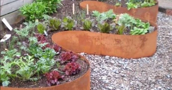 Саксии кашпи и повдигнати лехи Гаранция и топ цена